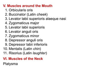 The face anatomy | PPTX