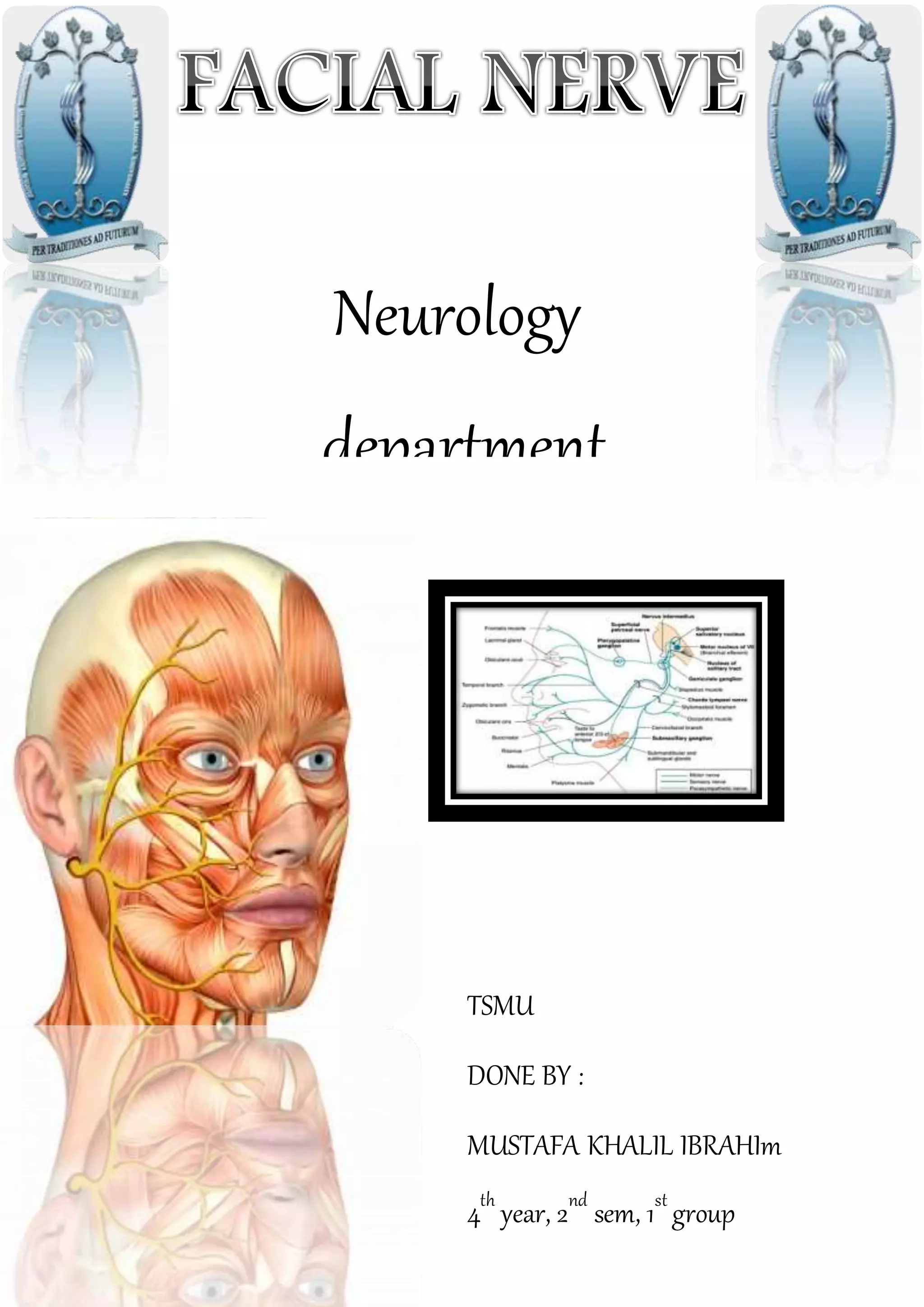 facial nerve (7th cranial nerve) | DOCX