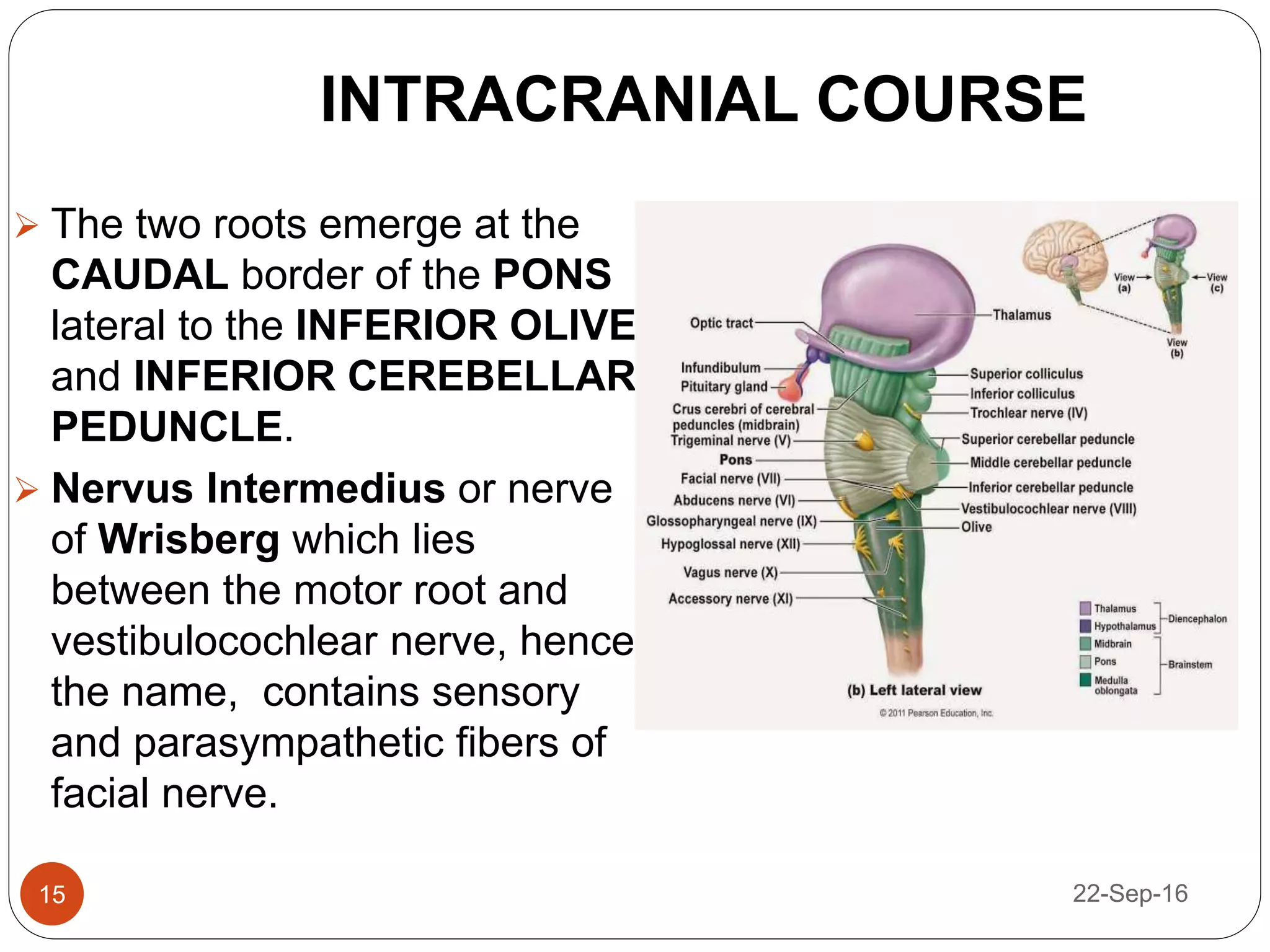 The facial nerve | PPTX