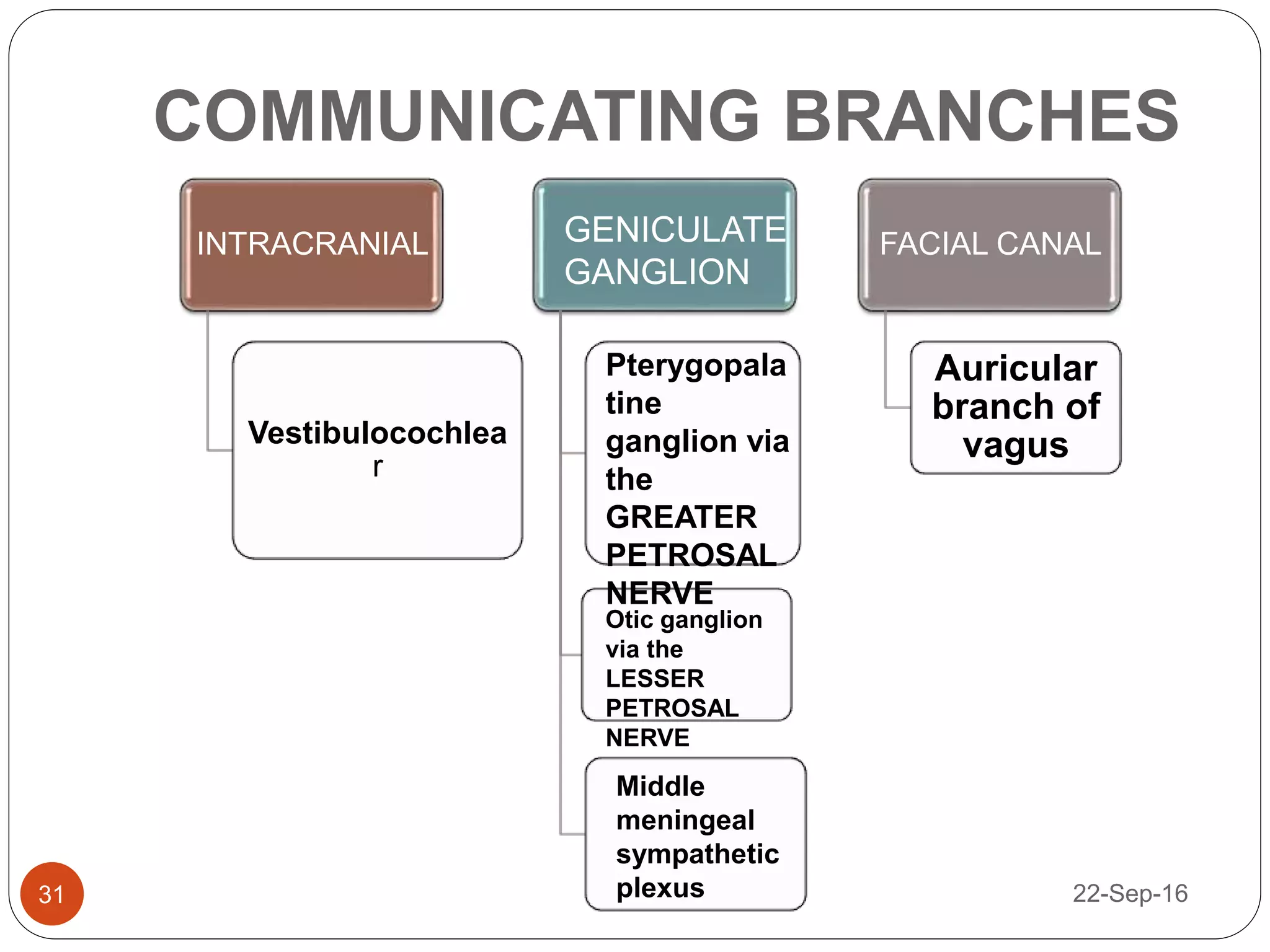 The facial nerve | PPTX
