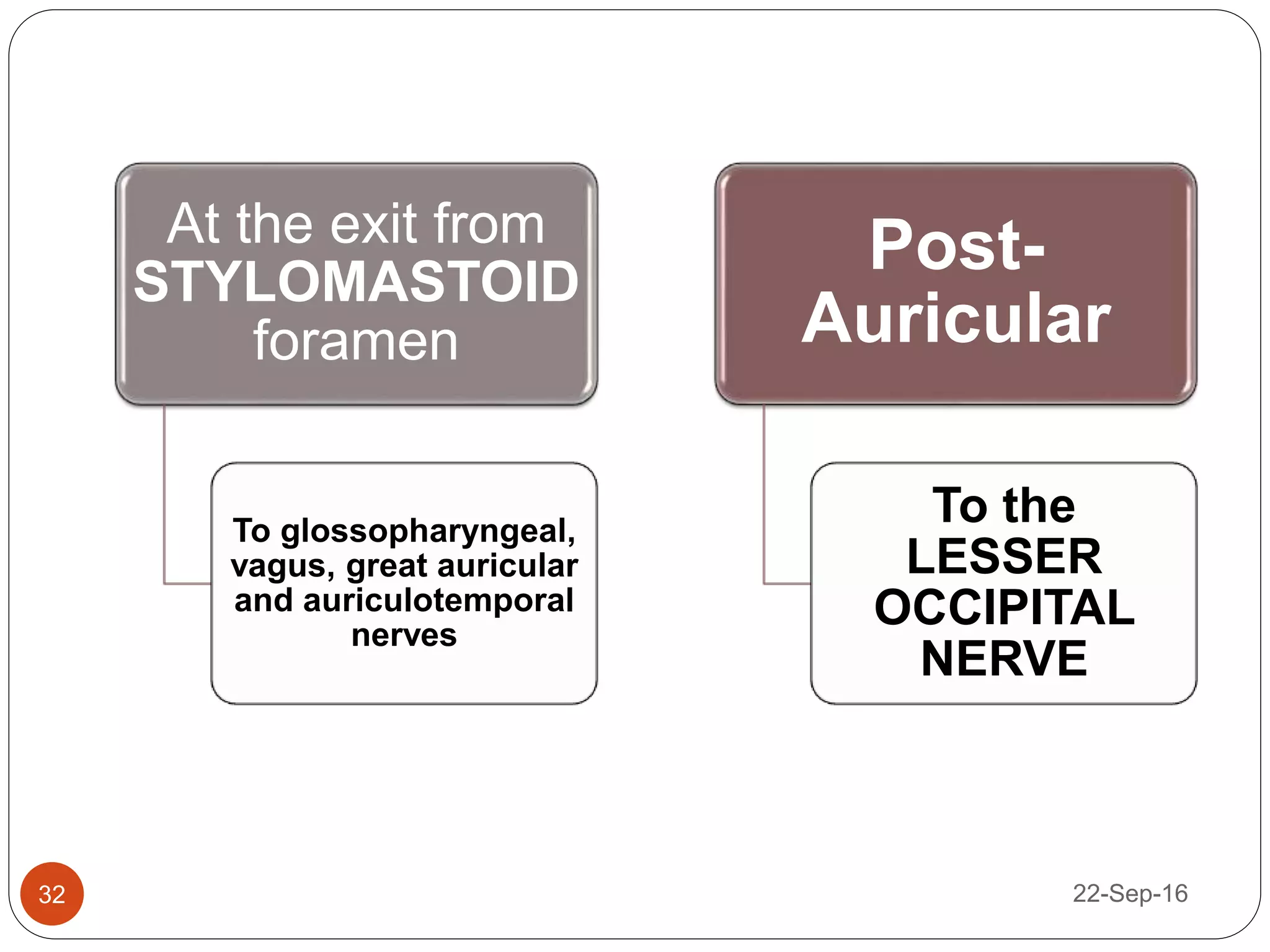 The facial nerve | PPTX