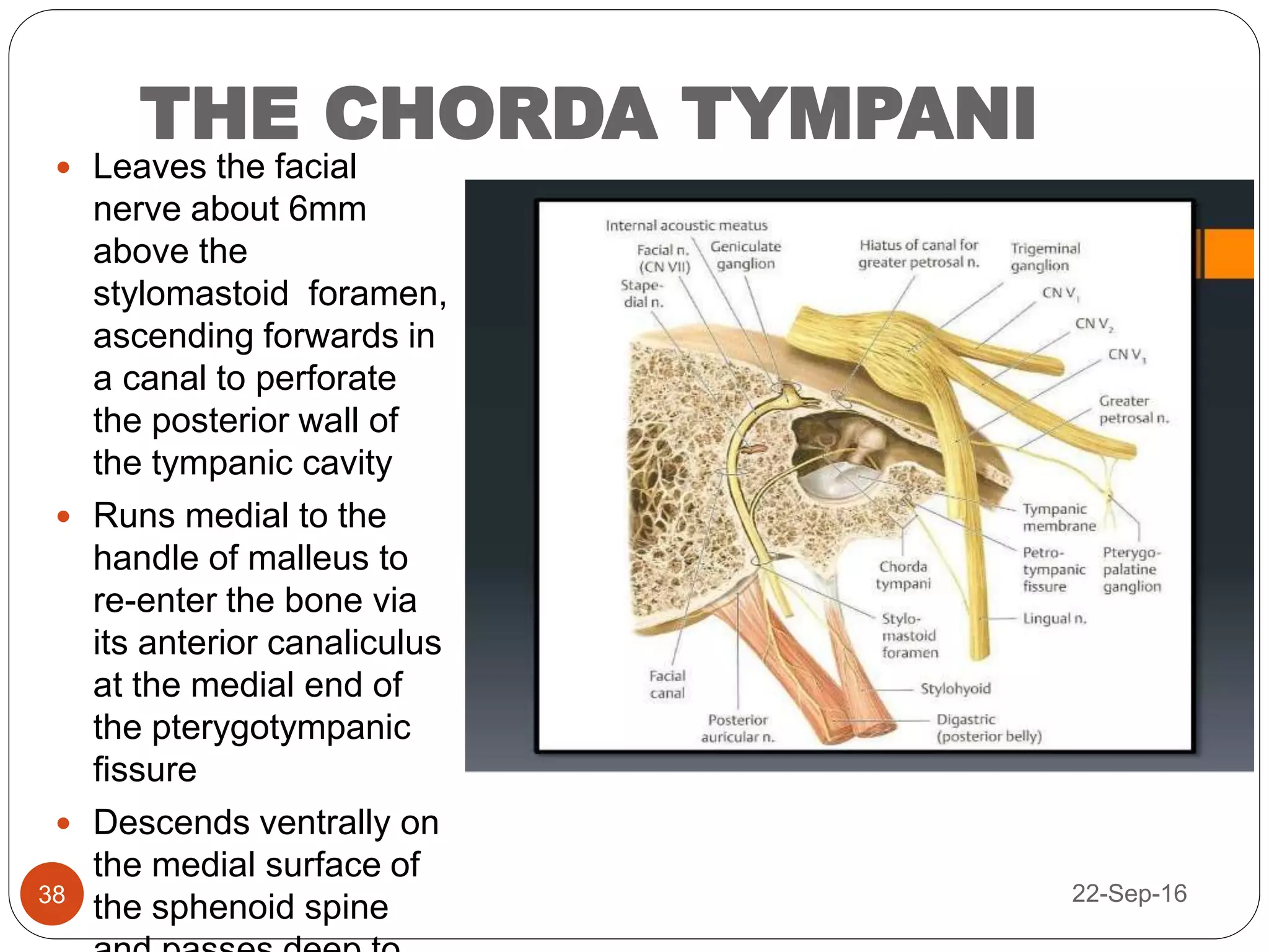 The facial nerve | PPTX
