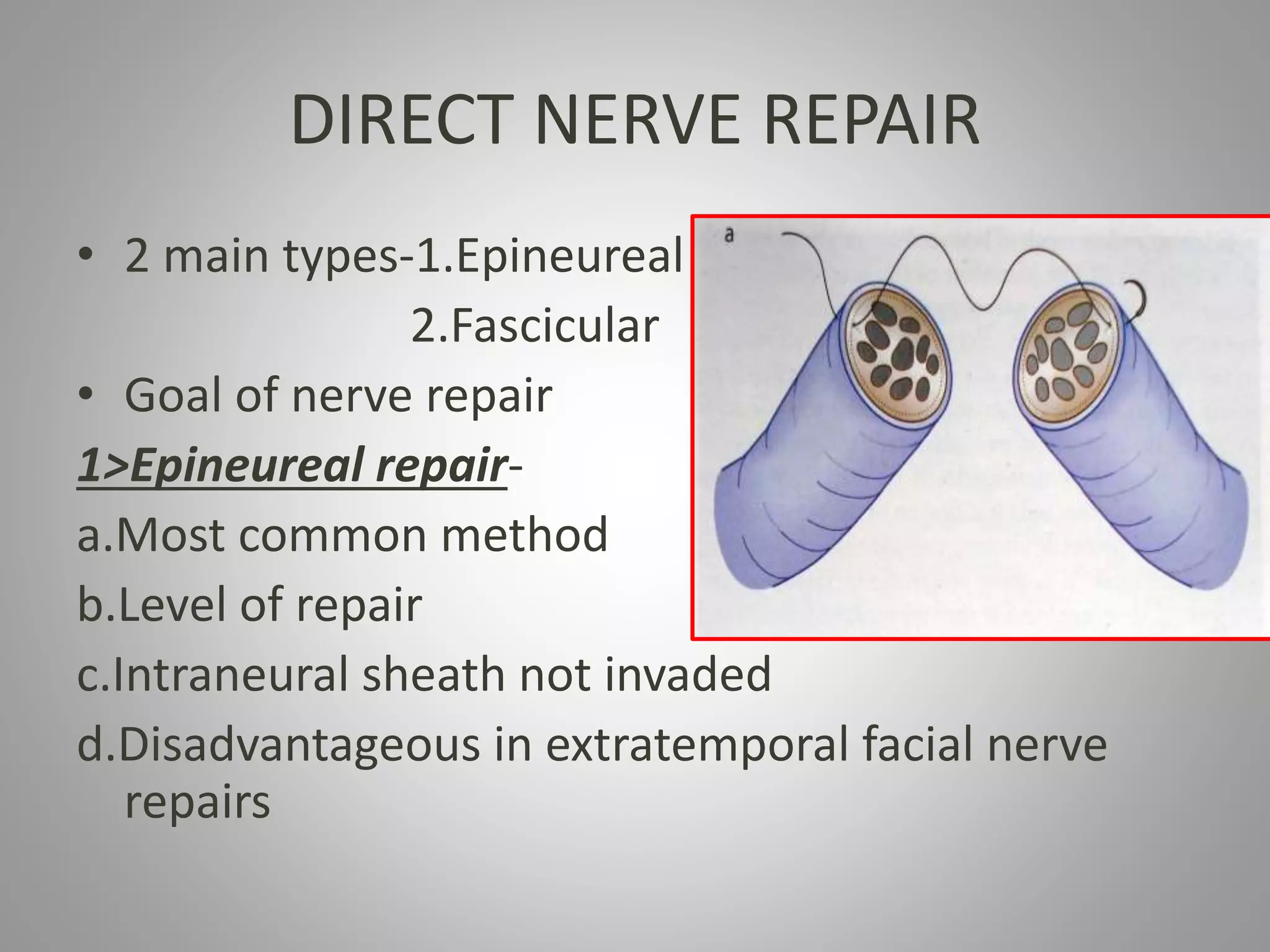 The facial nerve | PPTX
