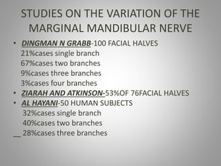 The facial nerve | PPTX