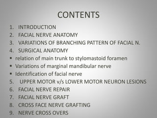 The facial nerve | PPTX