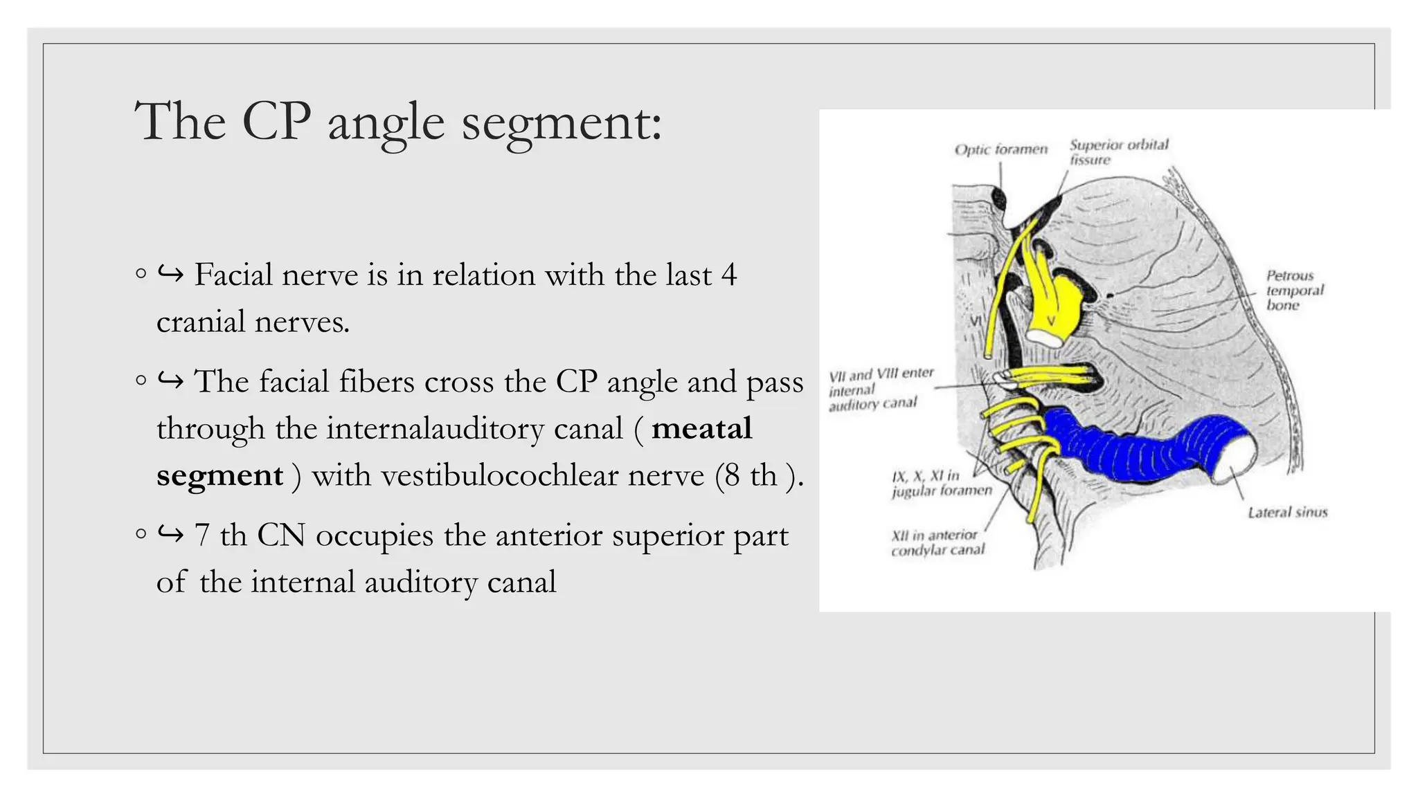 The facial nerve- anatomy and clinical examination | PPTX