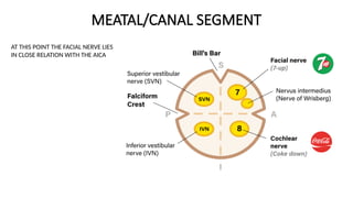 Anatomy and Clinical Examination of the Facial Nerve | PPTX