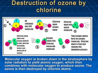 The factors affecting the o3 layer | PPT