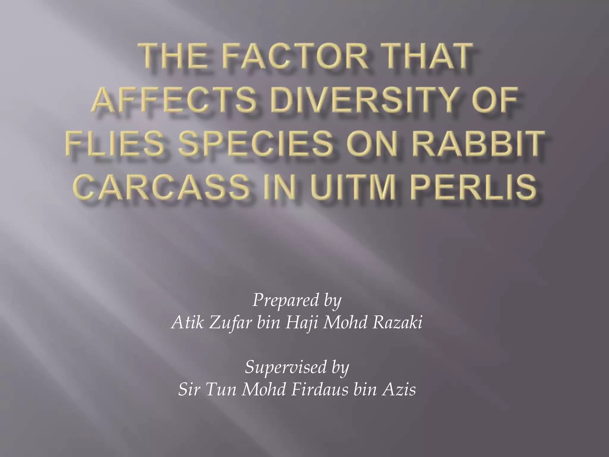 The Factor that Affects Diversity of Flies Species on Rabbit Carcass in ...