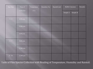 The Factor that Affects Diversity of Flies Species on Rabbit Carcass in ...