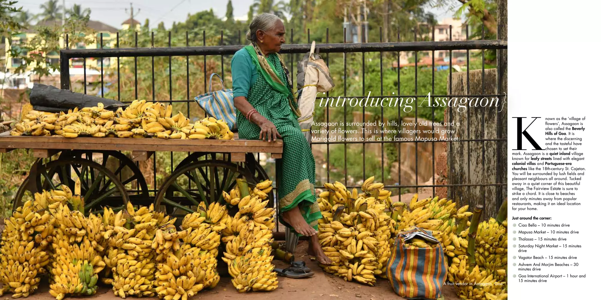 The fairview estate | PDF