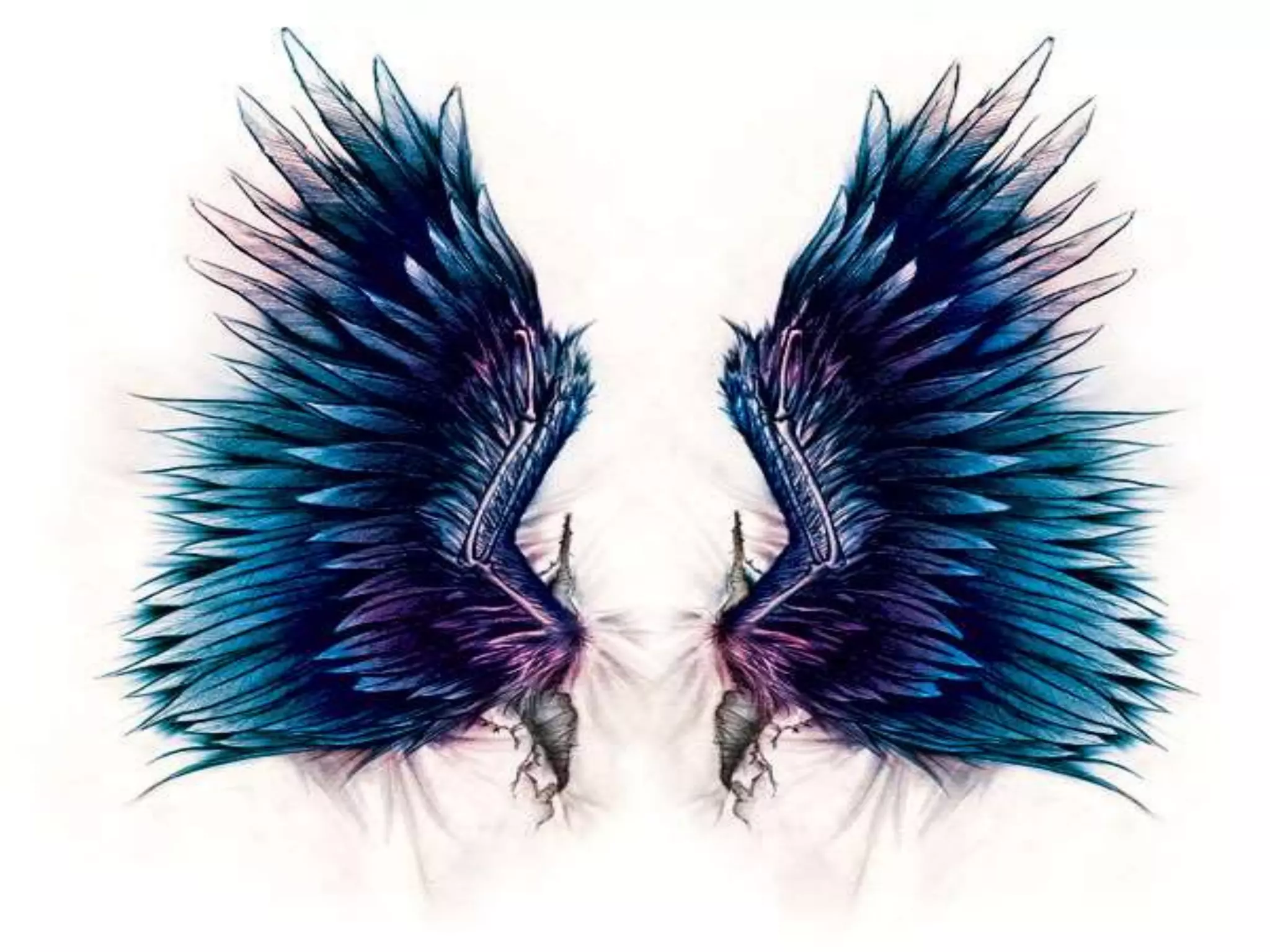 The fall of icarus jim and nick | PPT