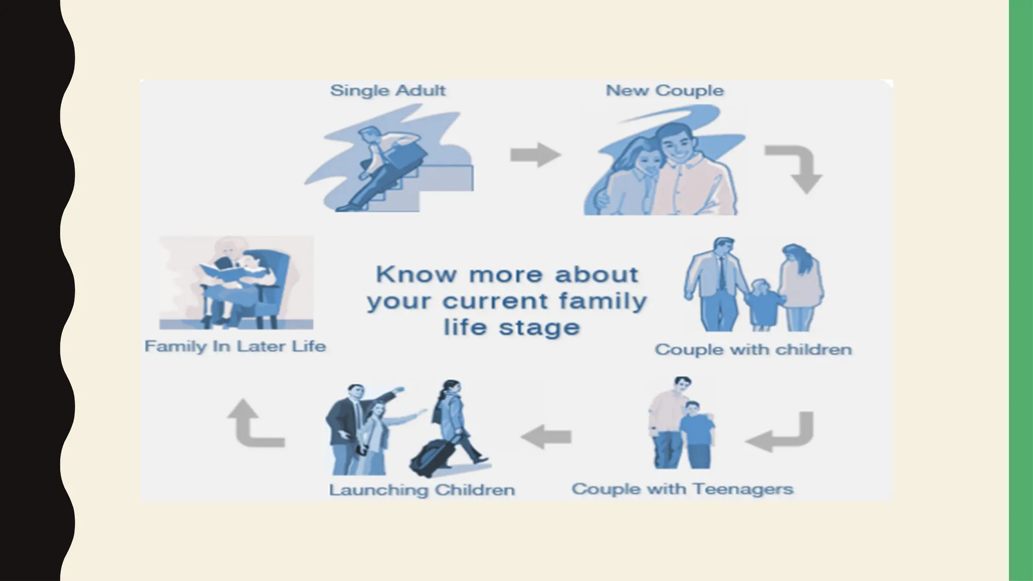 THE FAMILY LIFE CYCLE THE FAMILY LIFE CYCLE | PPTX