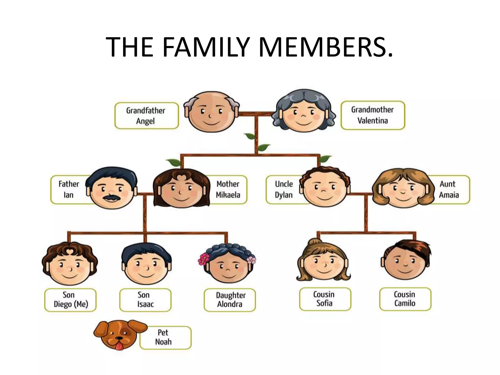 The family members | PPTX