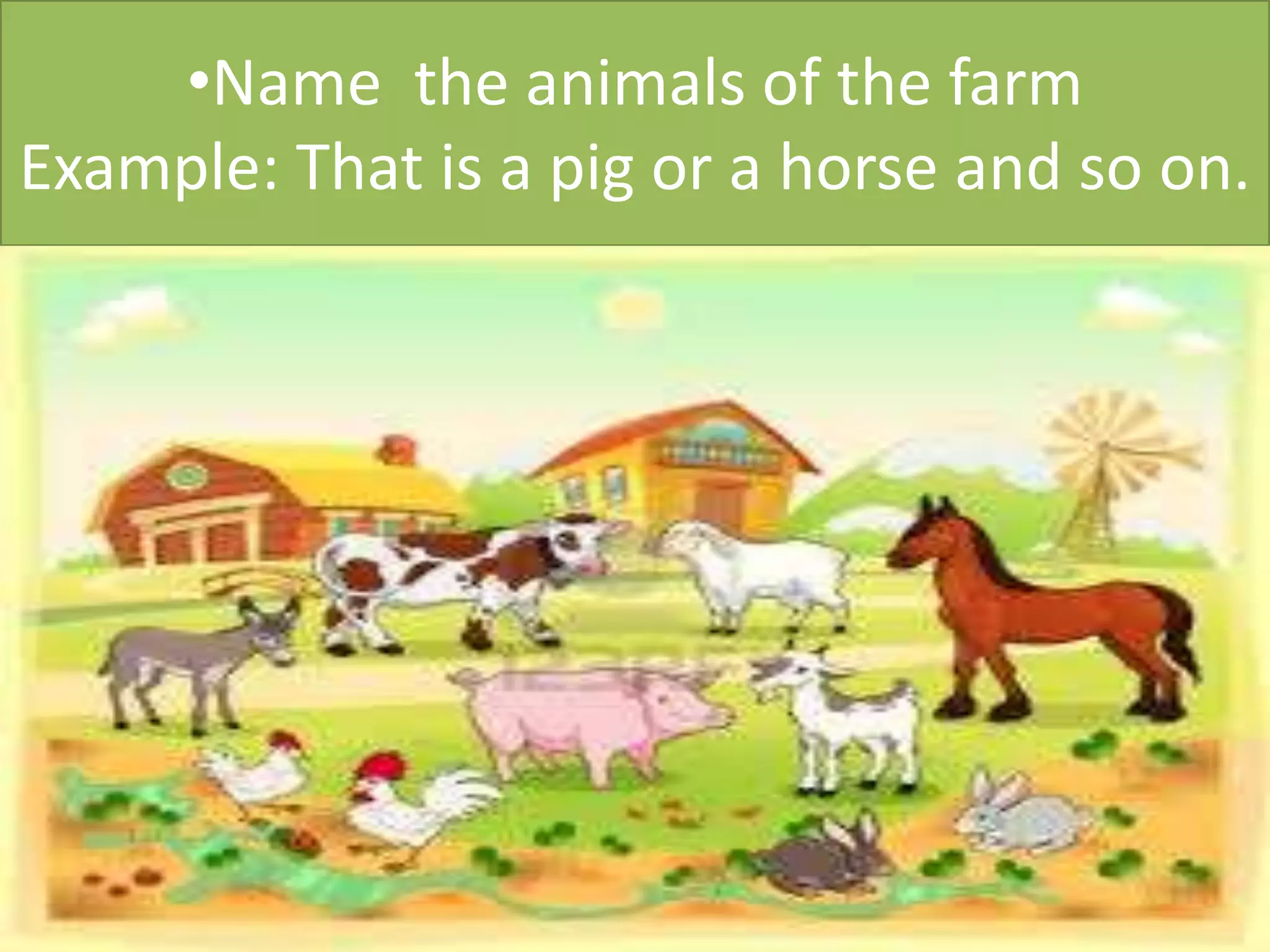 The farm animals | PPTX