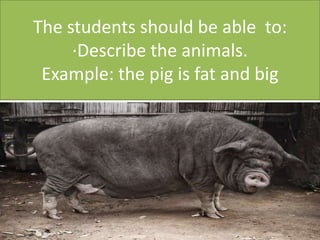 The farm animals | PPTX