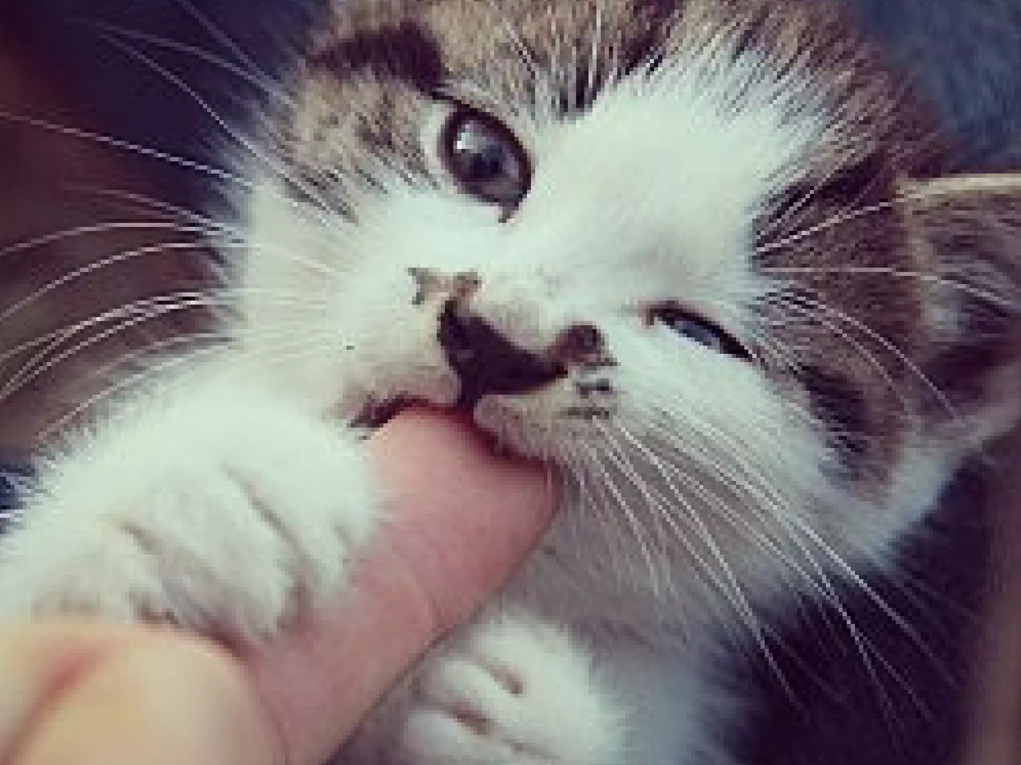 The Farm by Chris Beaman | PDF