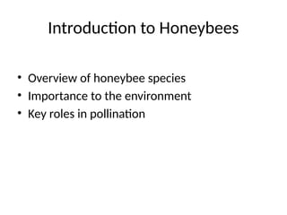 The_Fascinating_World_of_Honeybees-1.pptx