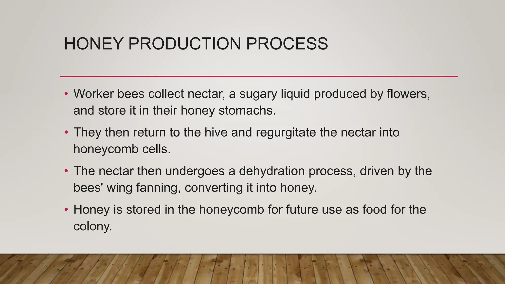 The Fascinating World of Honeybees: Exploring the Lives, Contributions ...