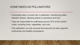 The Fascinating World of Honeybees: Exploring the Lives, Contributions ...