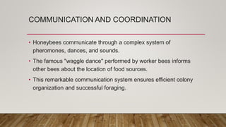 The Fascinating World of Honeybees: Exploring the Lives, Contributions ...