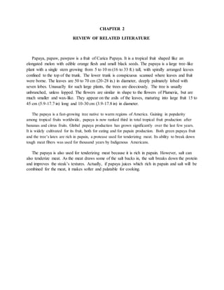 The feasibility of_papaya_extract_as_meat_tenderizer_-_copy_-_copy | DOCX