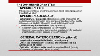 The female genitalia system Pathology. P | PDF
