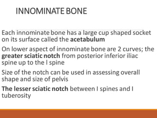 THE_FEMALE_PELVIS_AND_ITS_SIGNIFICANCE_final.pdf