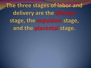 The female reproductive system | PPTX