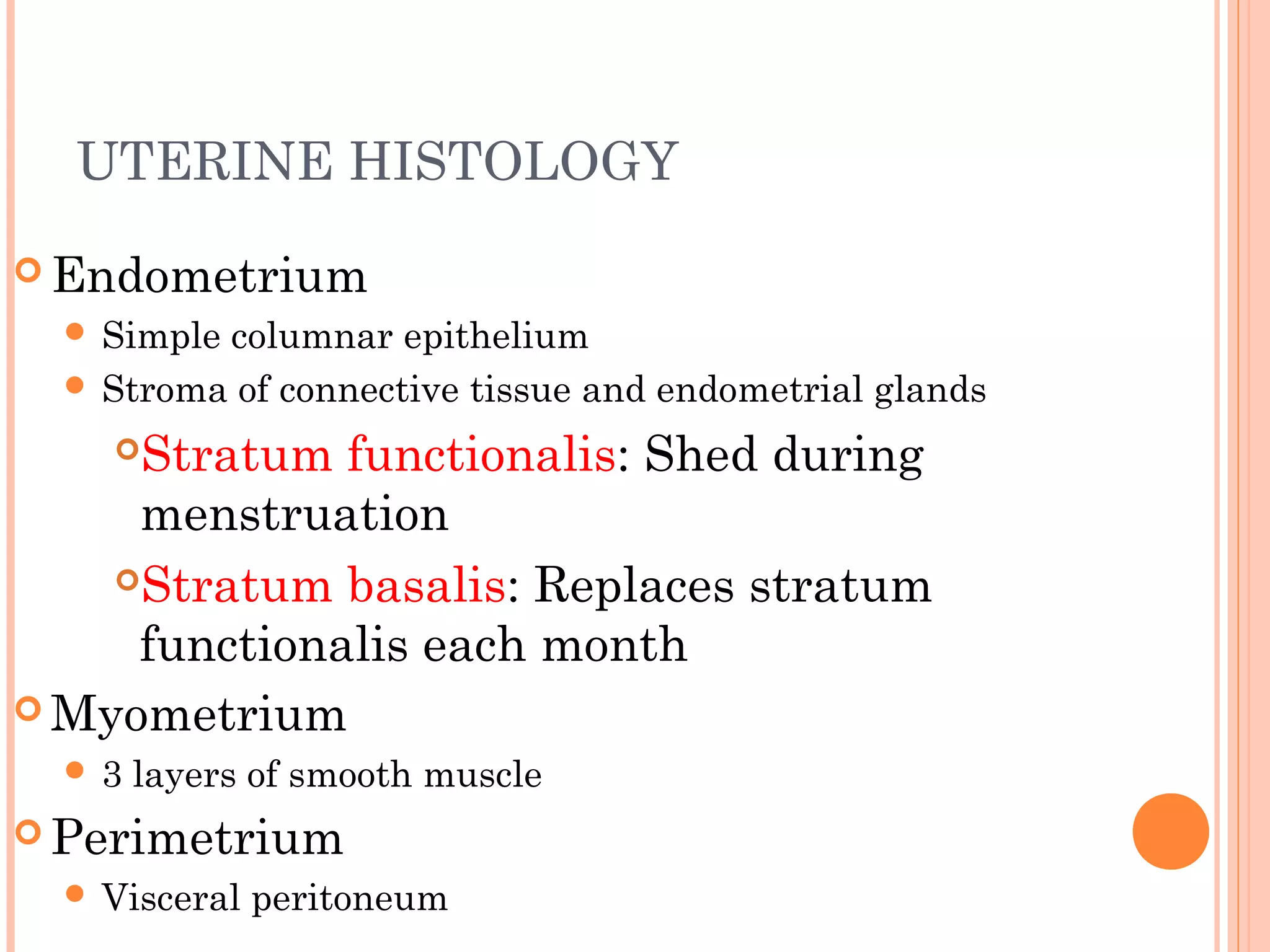 The female Reproductive System | PPT