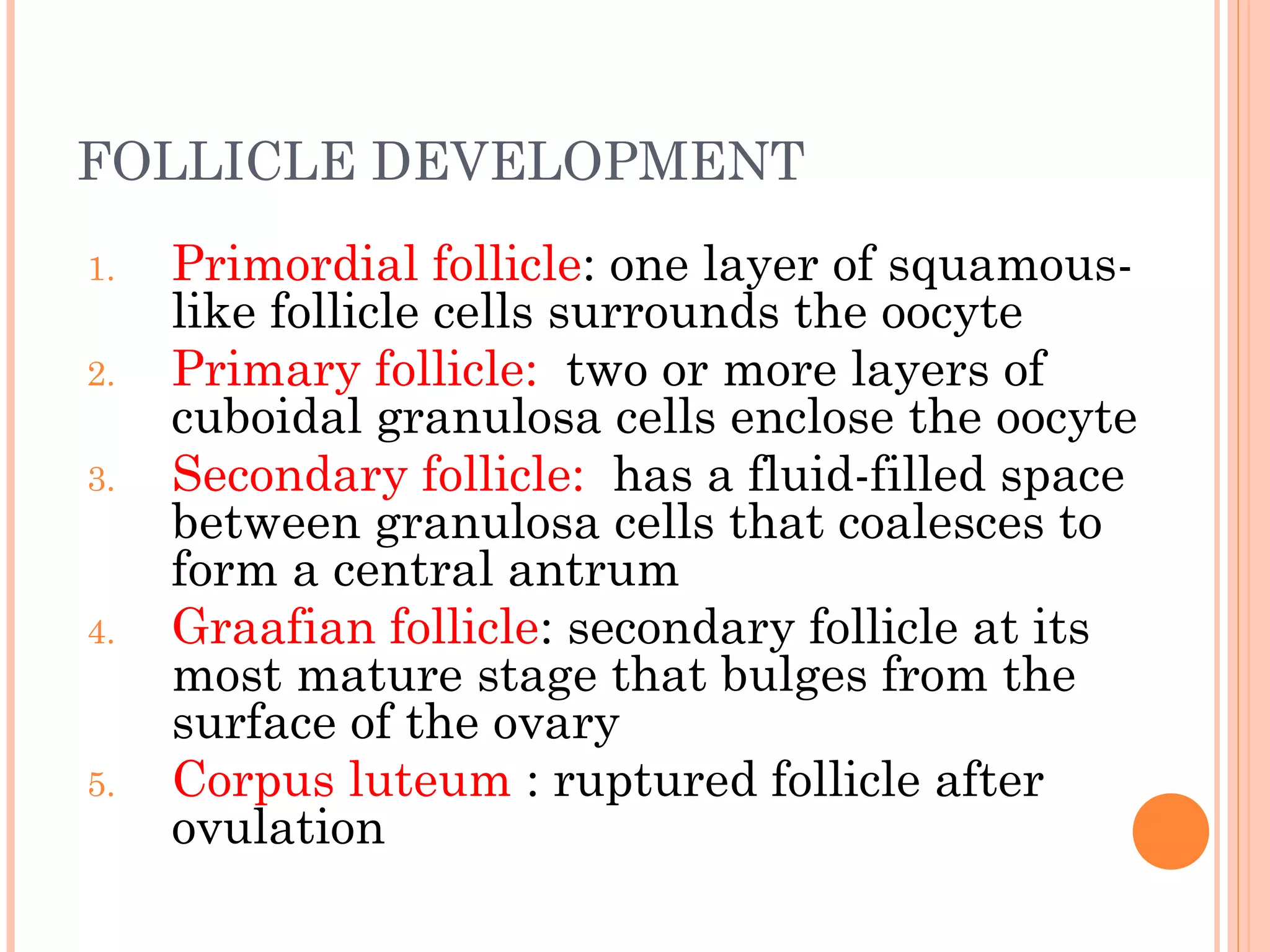 The female Reproductive System | PPT