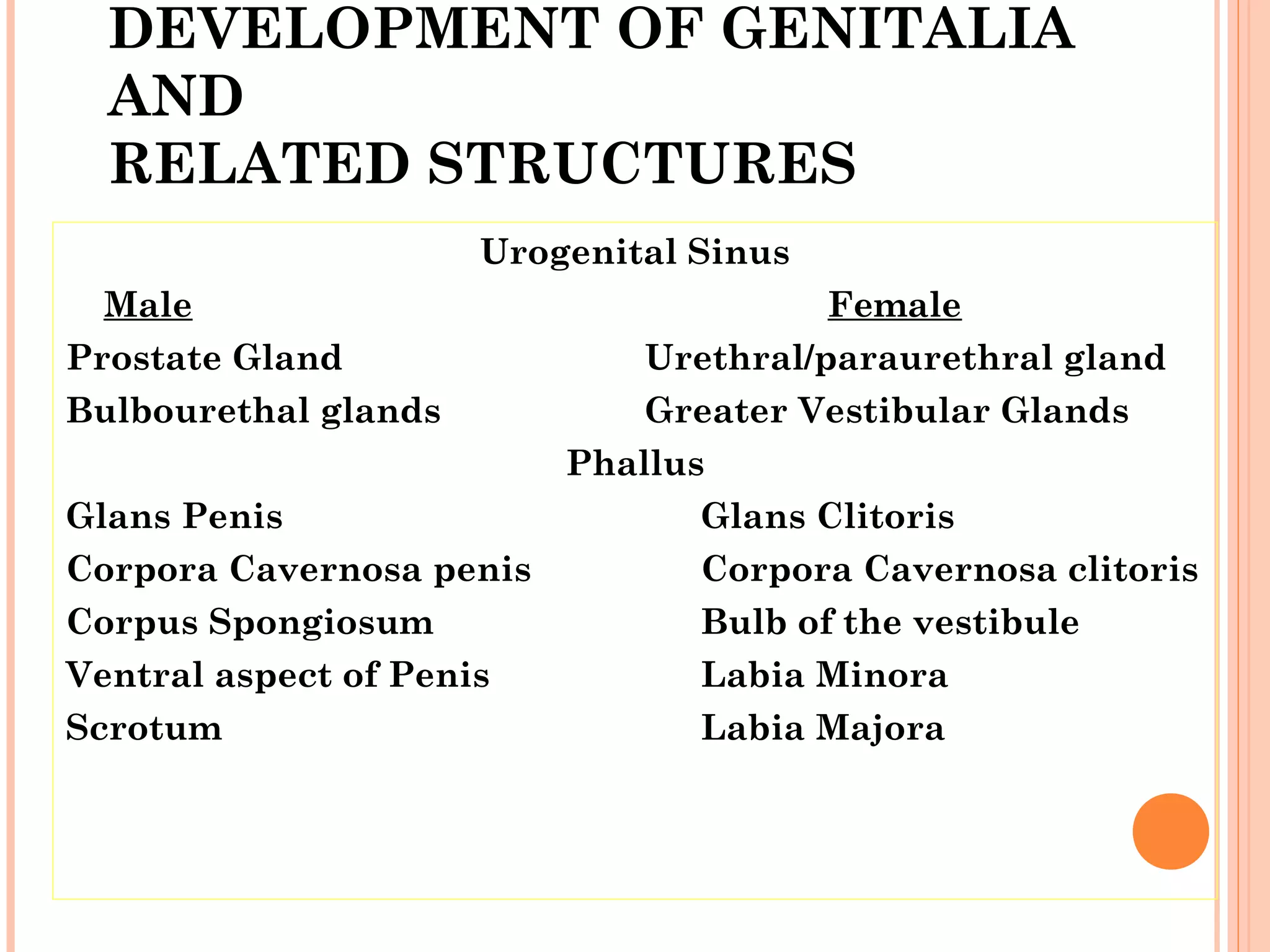 The female Reproductive System | PPT
