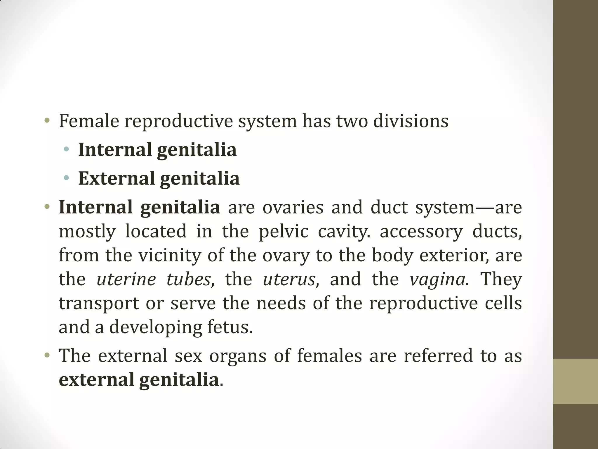 The female reproductive system | PDF