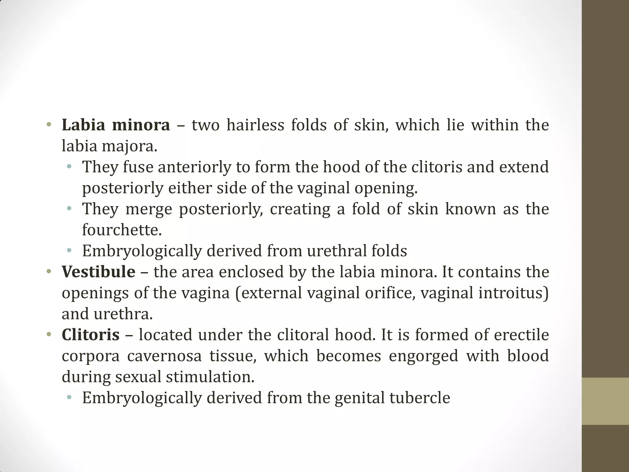 The female reproductive system | PDF