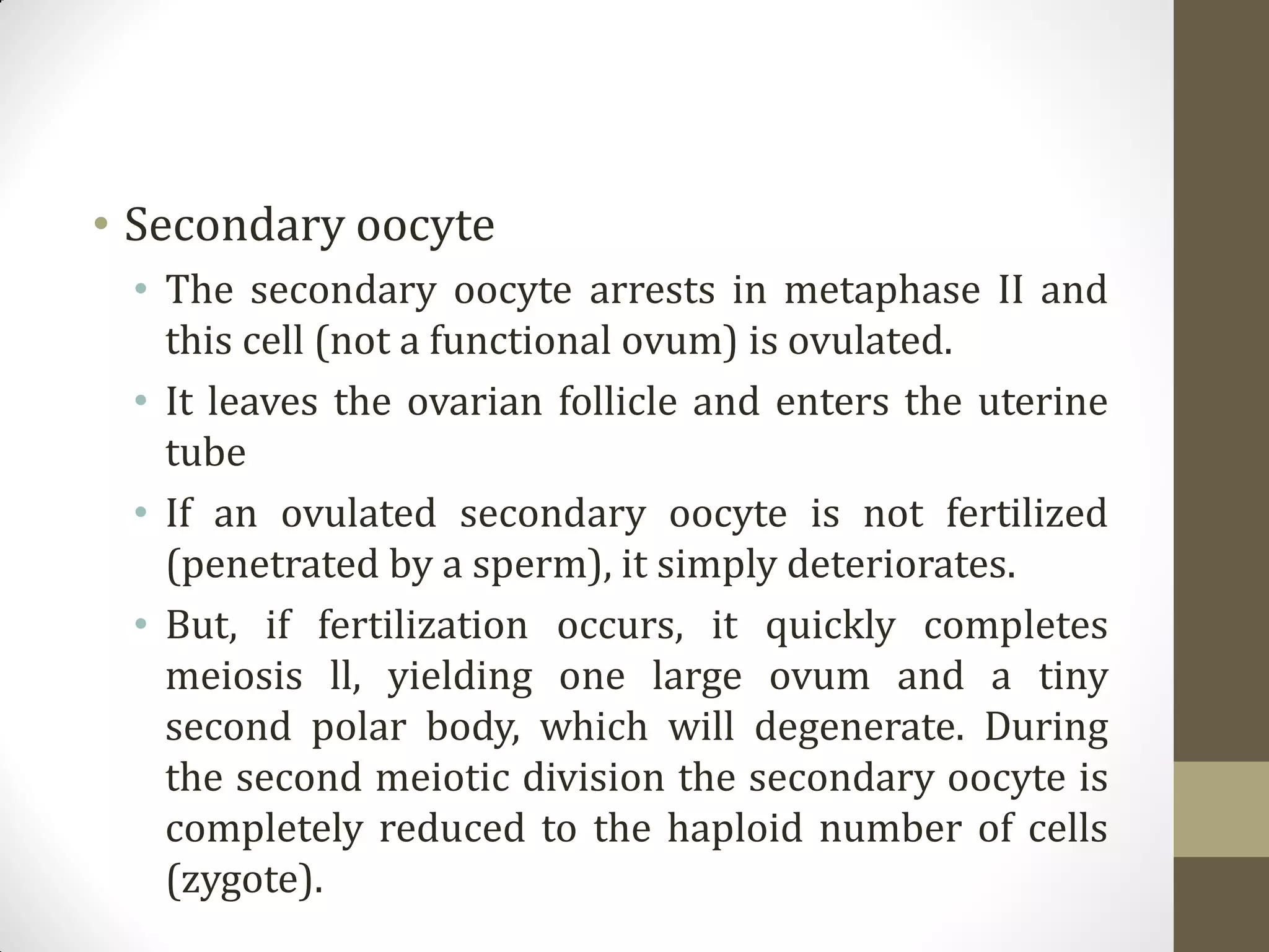 The female reproductive system | PDF