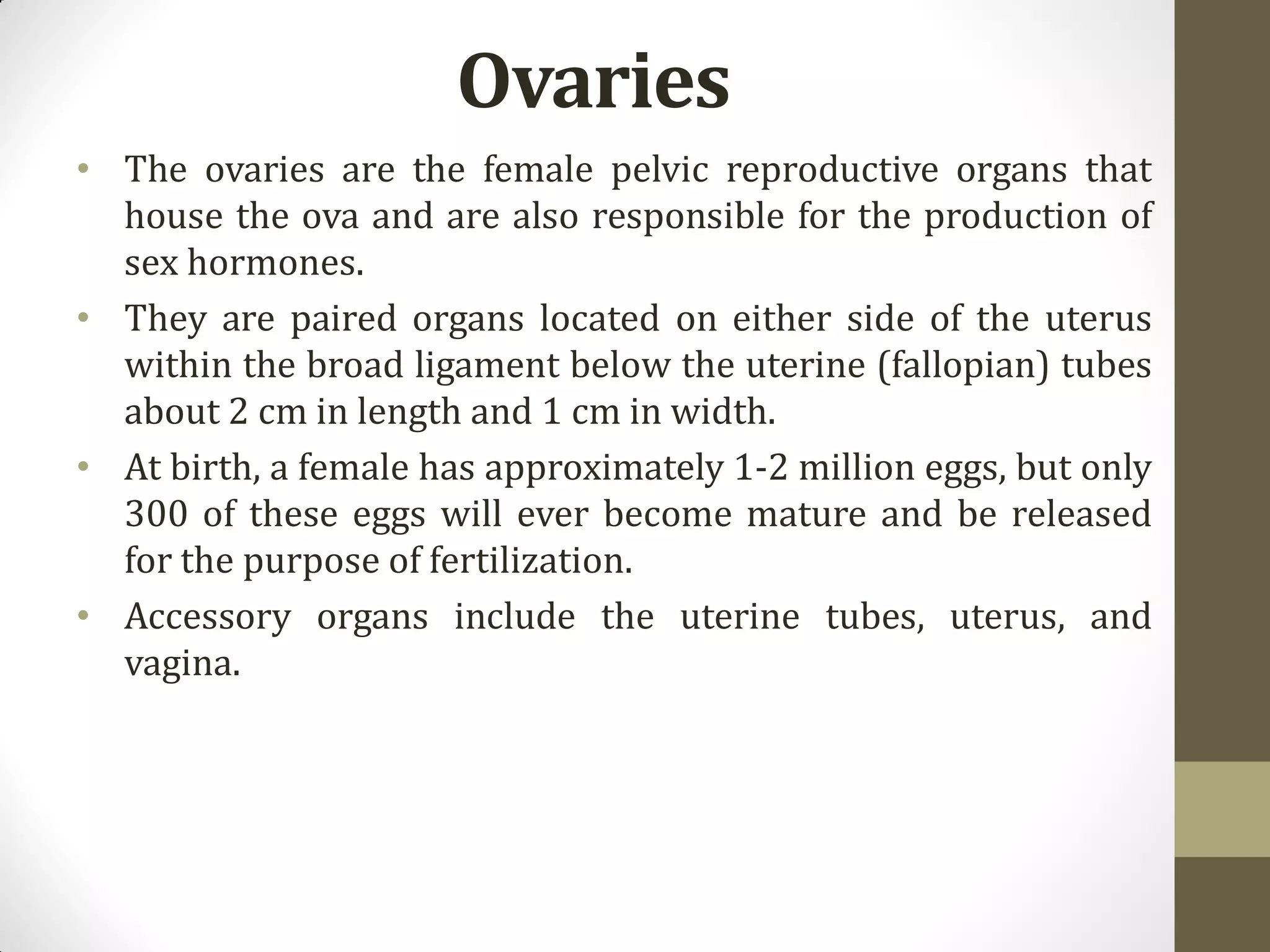 The female reproductive system | PDF