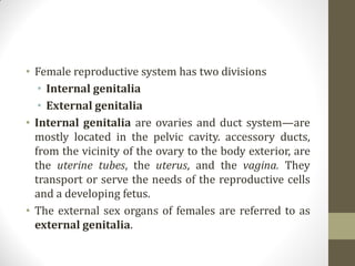 The female reproductive system | PDF