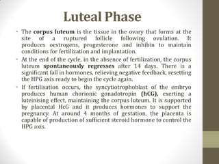 The female reproductive system | PDF