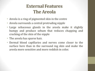The female reproductive system | PDF
