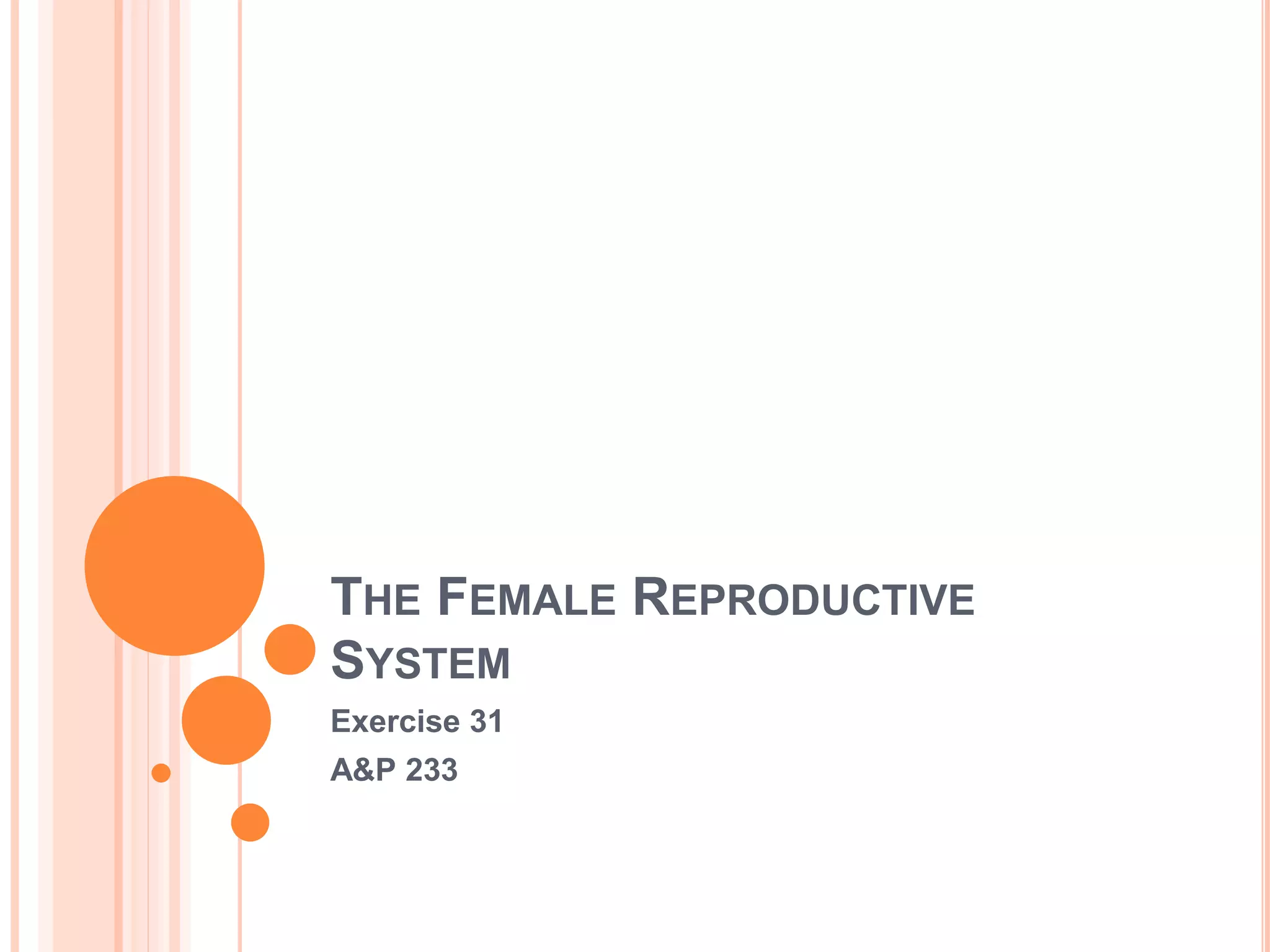 The Female Reproductive System.ppt