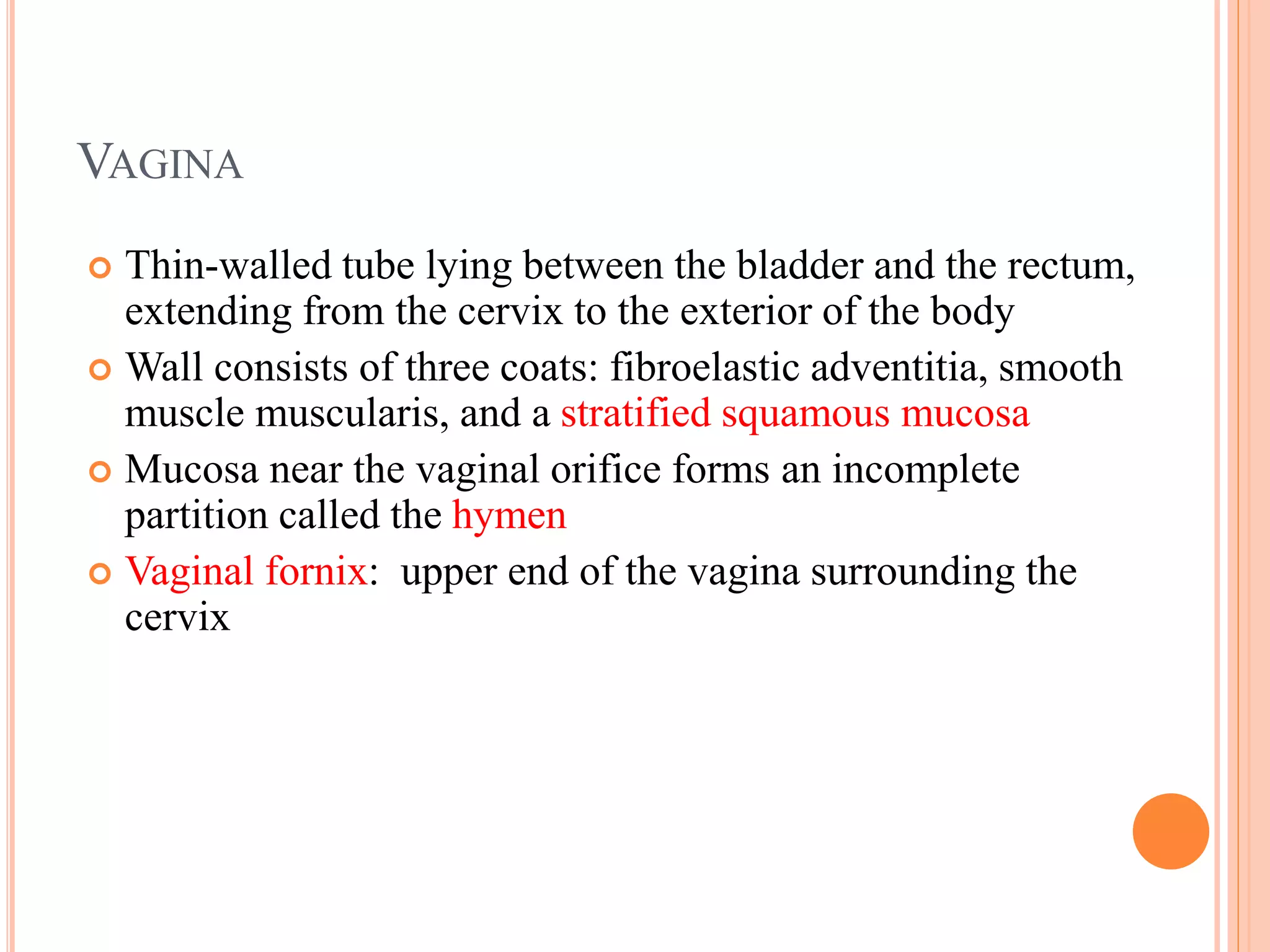 The Female Reproductive System.ppt