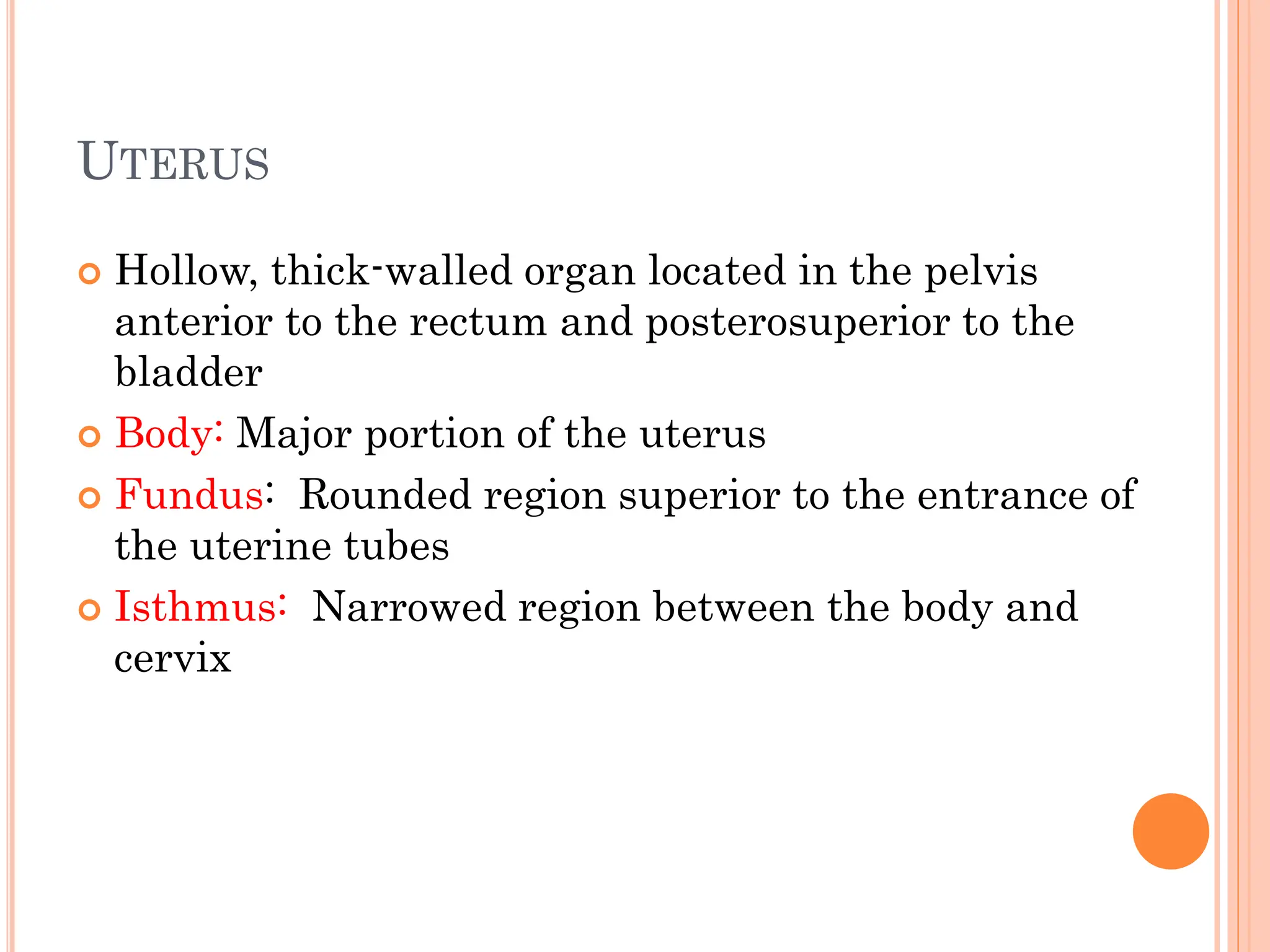 The Female Reproductive System.pptx female reproductive system | PPTX