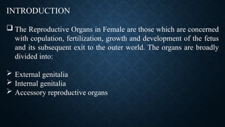 Female reproductive system and health.pptx