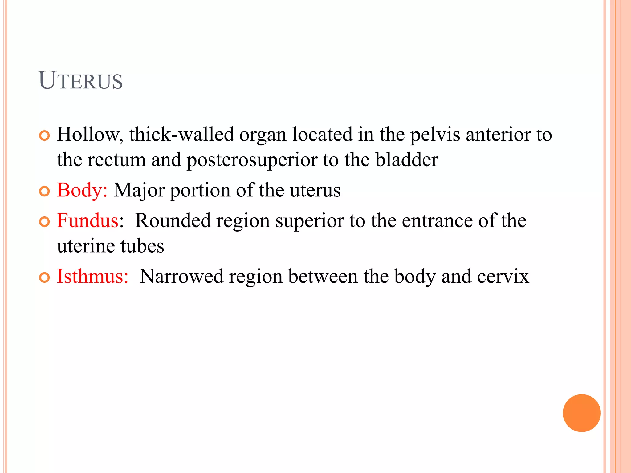 The Female Reproductive System 2.ppt | Pregnancy | Reproductive Health