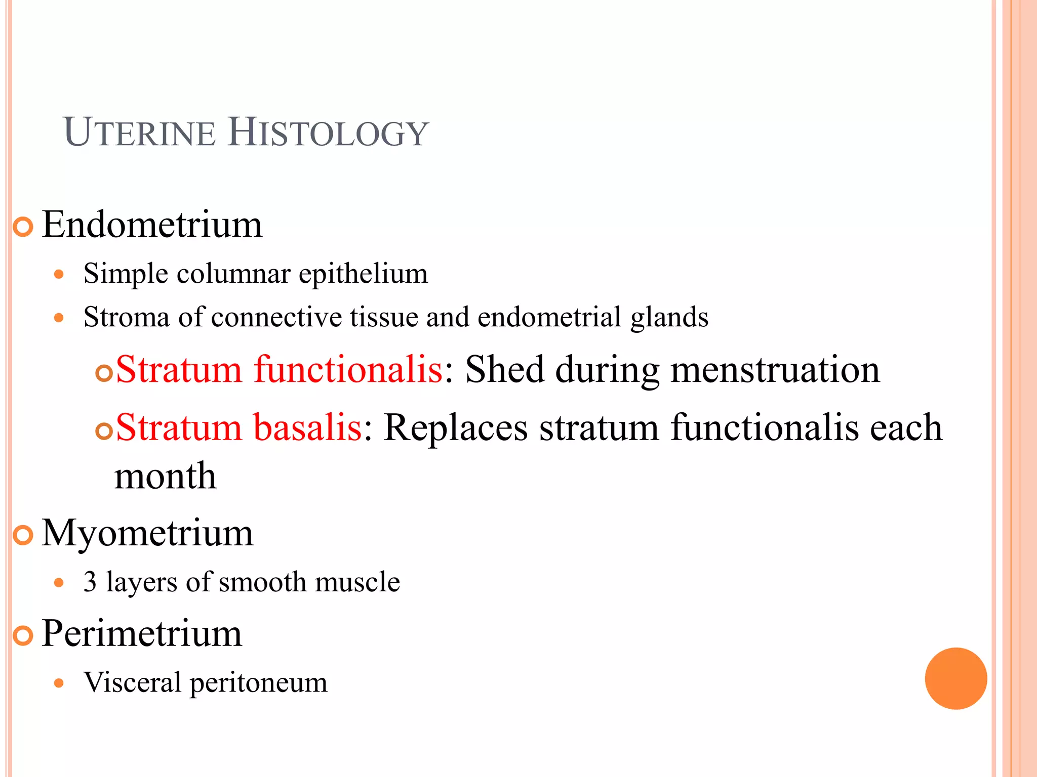 The Female Reproductive System 2.ppt | Pregnancy | Reproductive Health