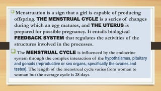 The Female Reproductive System and Menstrual Cycle.pptx