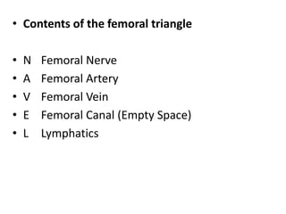 The Femoral Triangle.pptx