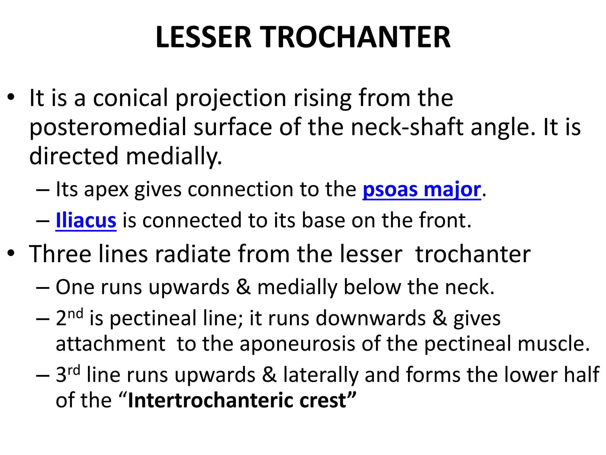 The anatomy of Femur features and attachments.pptx