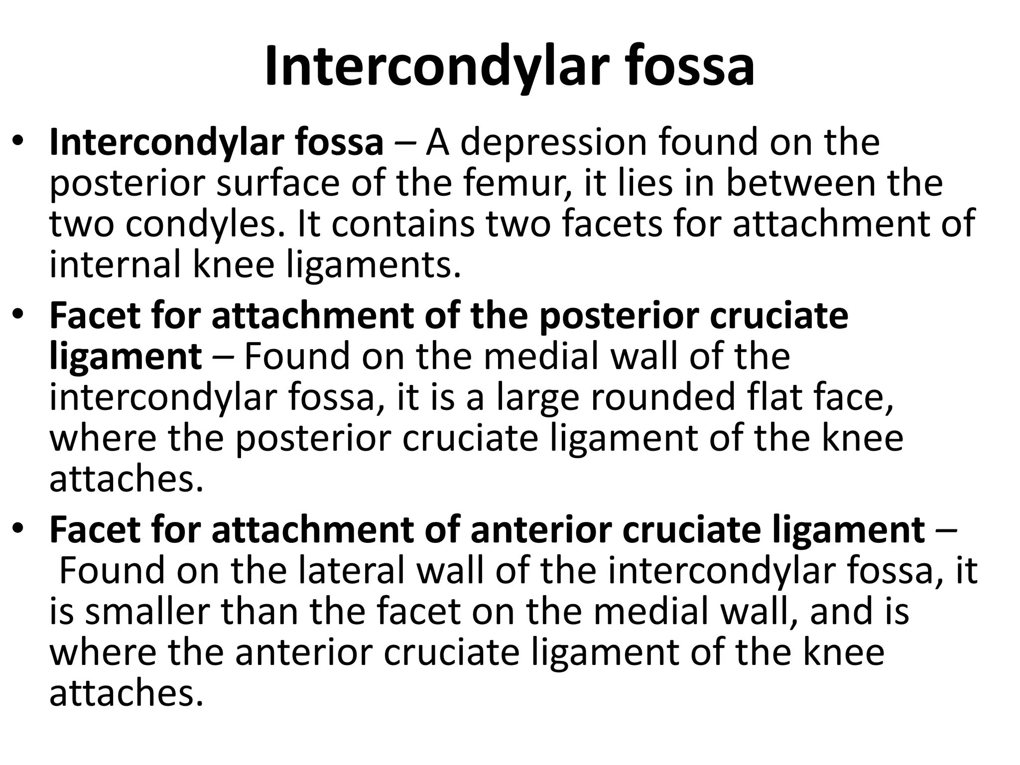 The anatomy of Femur features and attachments.pptx
