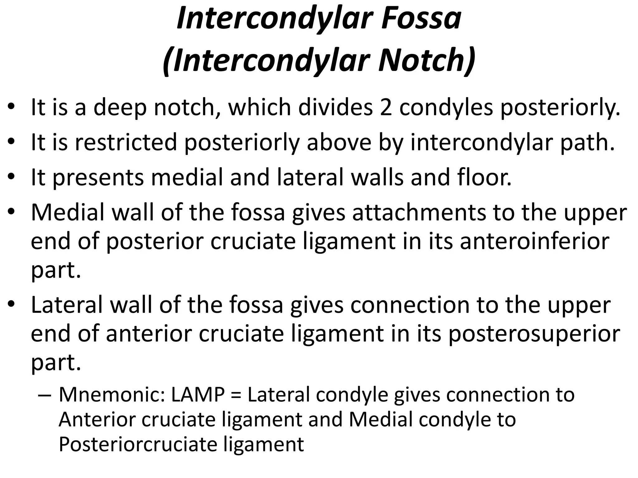 The anatomy of Femur features and attachments.pptx
